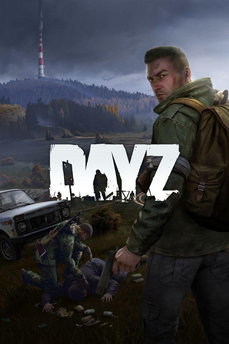 DayZ Custom Launcher Settings - Game Launcher Creator